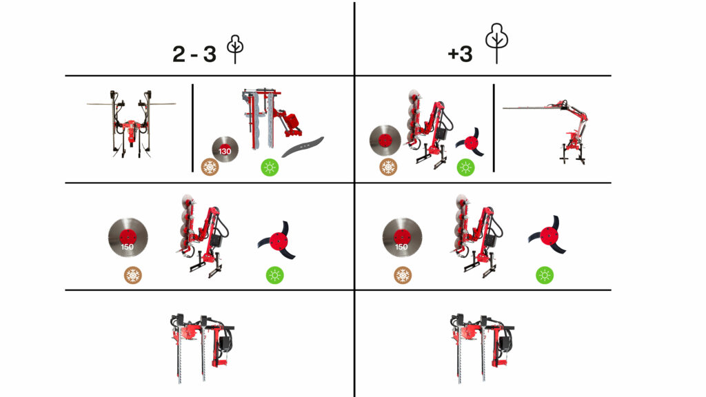 Poda en verde en almendro superintensivo: Beneficios.